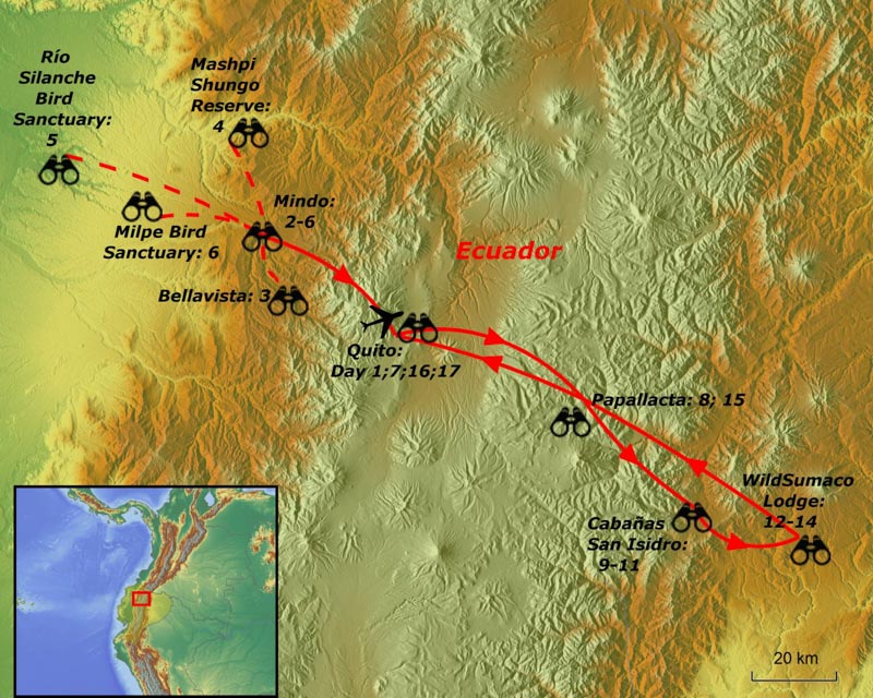 Northern Ecuador birding tours