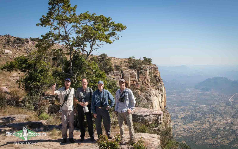 Birding Tour Angola: Africa's Best-kept Birding Secret