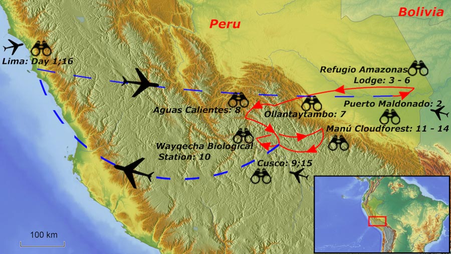 South Peru birding tours