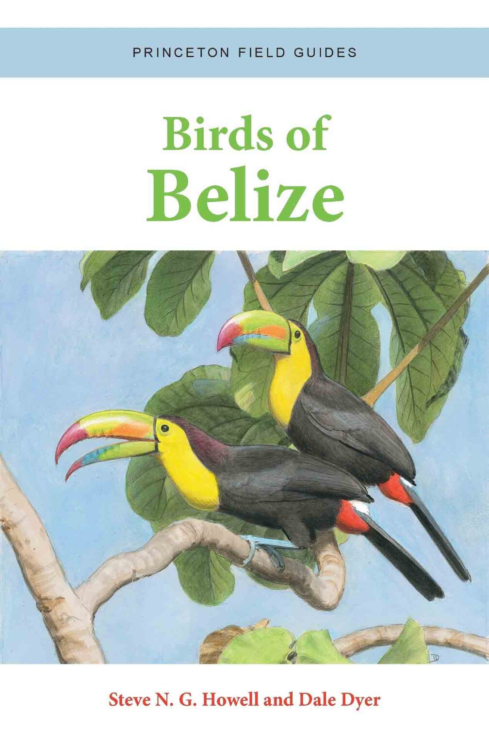 Bird Book Review: Birds of Belize - Birding Ecotours